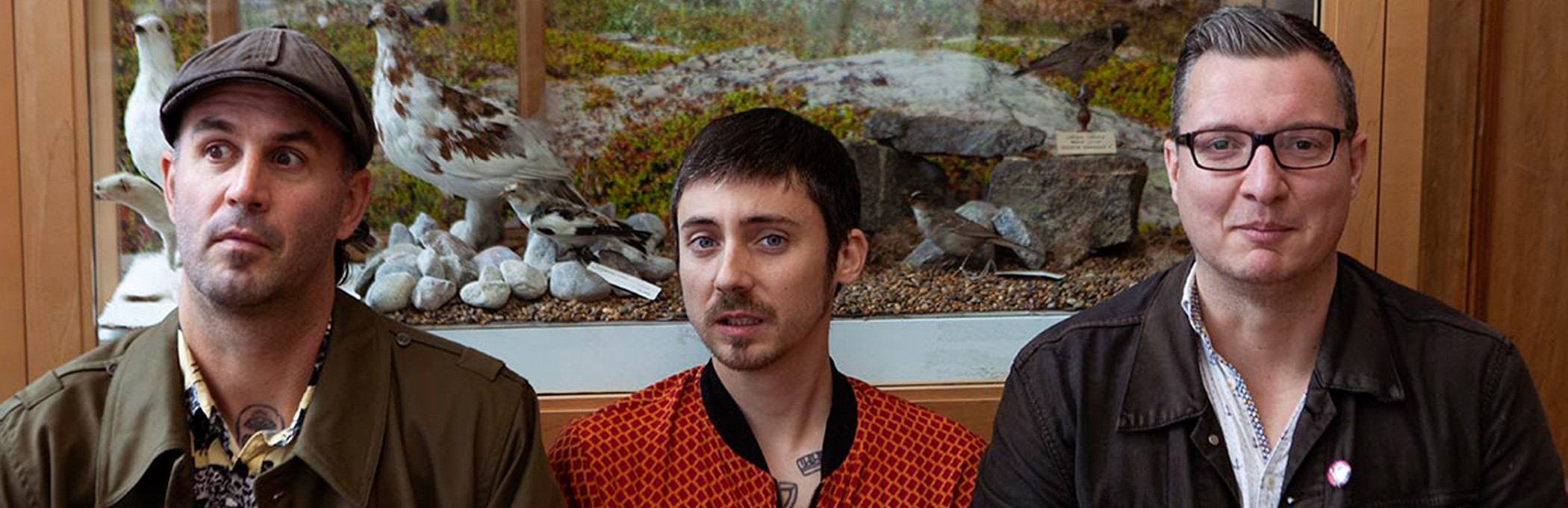 BOIDS | Stomp Records